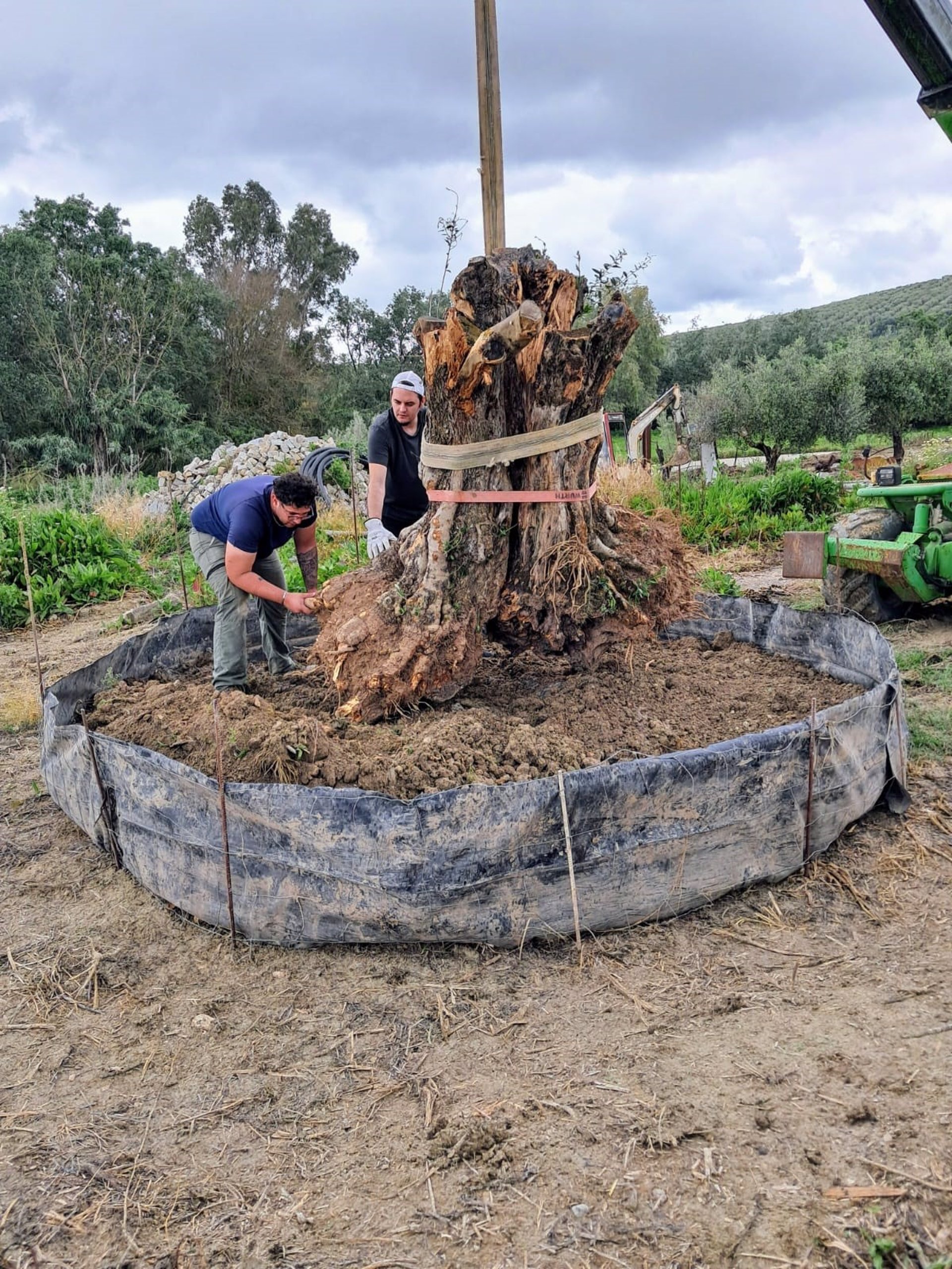 Daniel Téllez impulsa en Cádiz un proyecto con sello propio: aceite de oliva, oleoturismo y ...